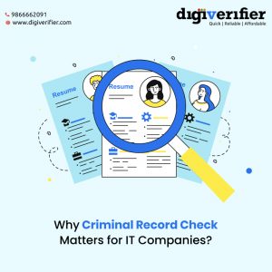 Why Criminal Record Check Is Vital for the IT Industry?